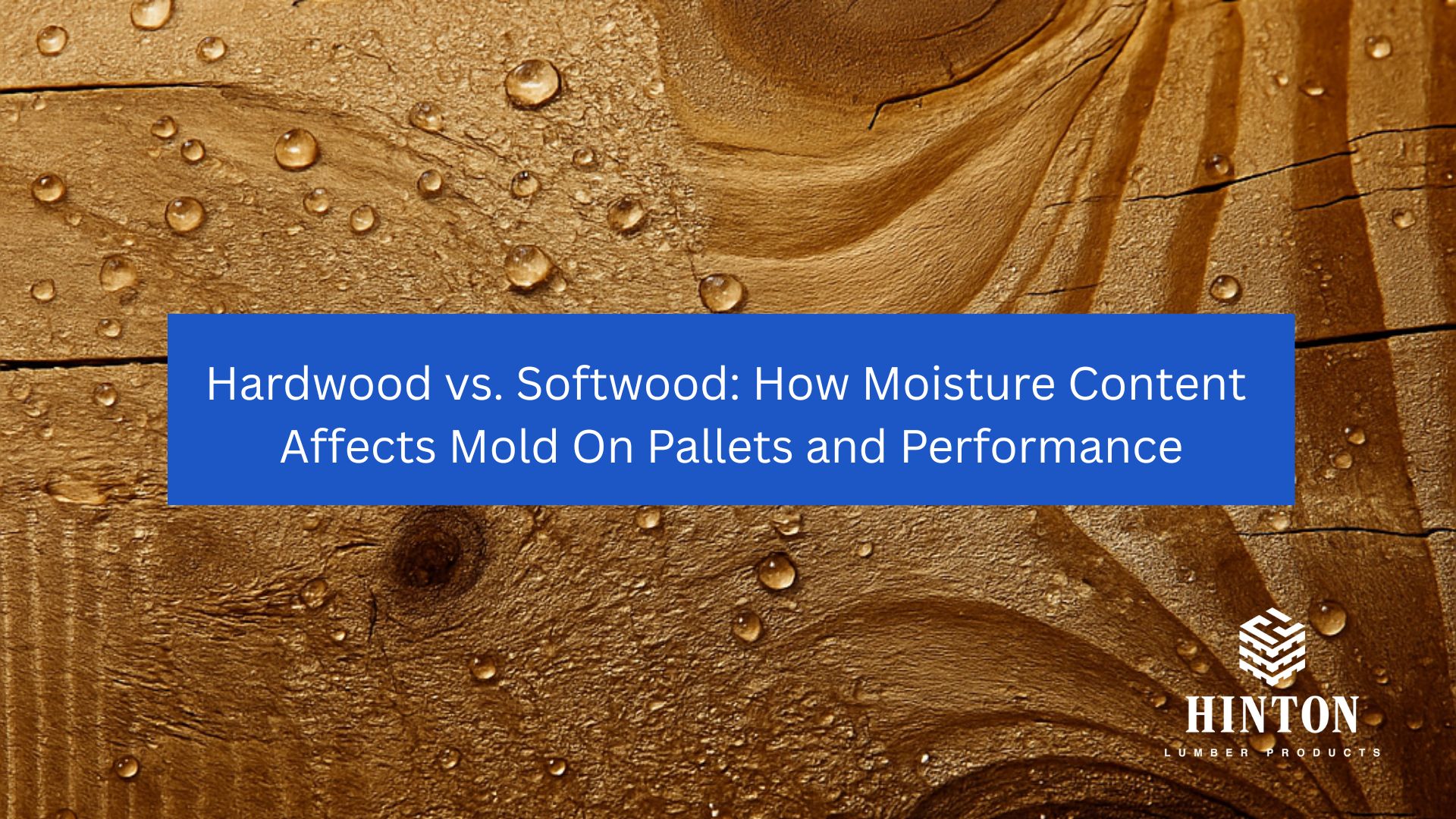 Hardwood vs. Softwood: How Moisture Content Affects Mold On Pallets and ...